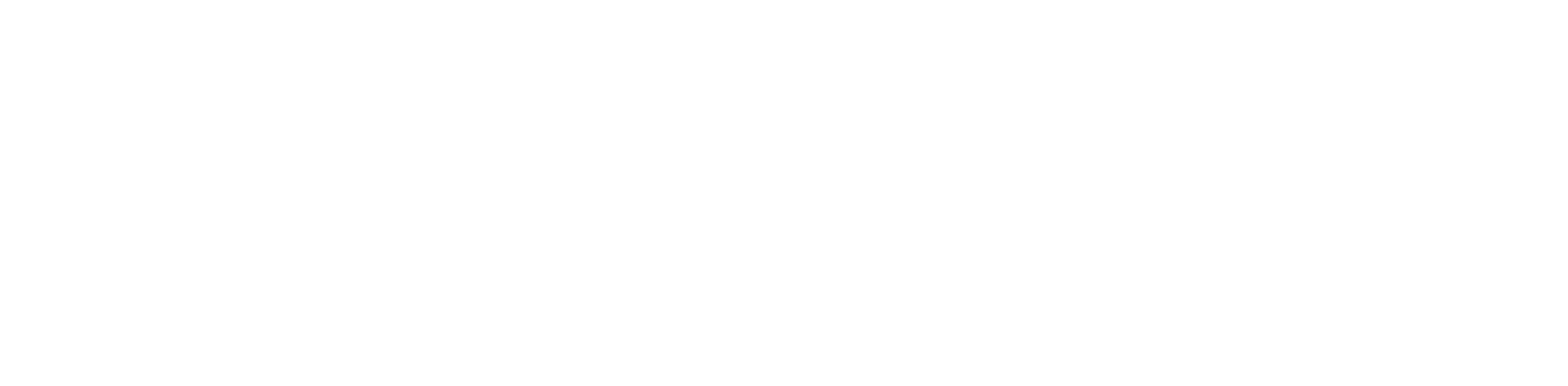 Online kaufen, Graugussspäne GG25 DIN 51360-2 | profluid & Korrosion